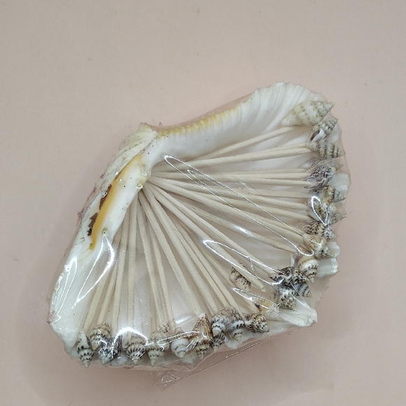 Dining | New Vintage Cocktail Picks Real Sea Shells Toothpicks In Shell ...
